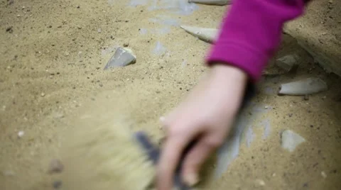 Hands of two girls digging together bone... | Stock Video | Pond5