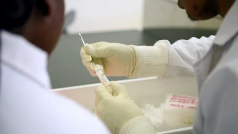 Record Bood Stock Videos – Royalty-Free HD & 4K Videos