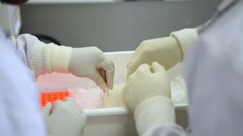 Record Bood Stock Videos – Royalty-Free HD & 4K Videos