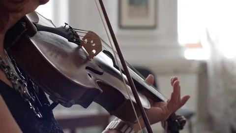 Fiddlestick Stock Videos – Royalty-Free HD & 4K Videos | Pond5