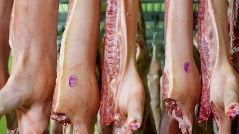 Full Row Stock Videos – Royalty-Free HD & 4K Videos | Pond5