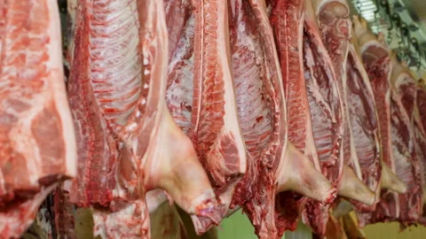 Full Row Stock Videos – Royalty-Free HD & 4K Videos | Pond5