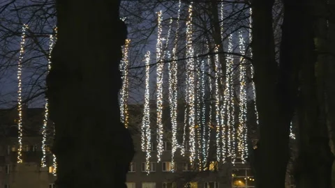 Hanging series lights on the trees in th... | Stock Video | Pond5