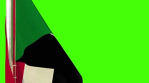 Hanging Flag Mockup Stock Videos – Royalty-Free HD & 4K Videos