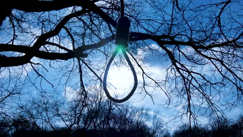 Hangman's knot or noose. Loop, rope hang... | Stock Video | Pond5