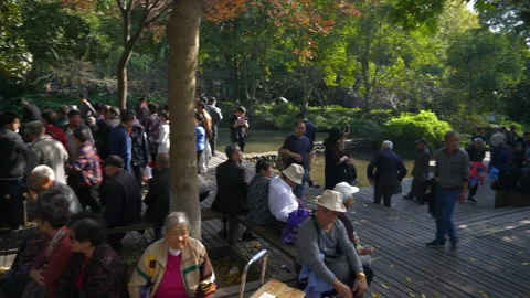 Grteen Bay Music Stock Videos – Royalty-Free HD & 4K Videos | Pond5