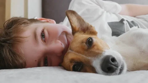 Happy boy hugs dog Jack Russell Terrier ... | Stock Video | Pond5