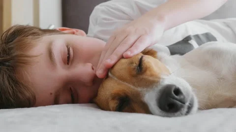 Happy boy hugs dog Jack Russell Terrier ... | Stock Video | Pond5