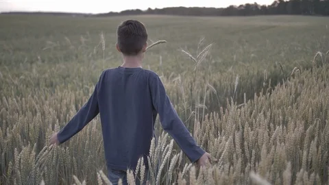 happy boy walking in the wheat field in ... | Stock Video | Pond5