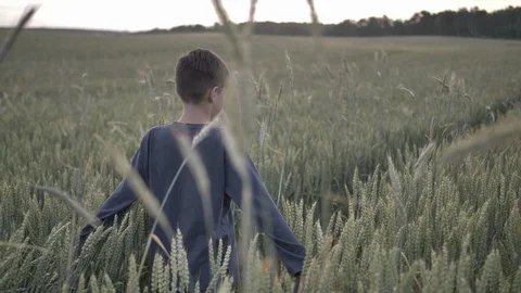 happy boy walking in the wheat field in ... | Stock Video | Pond5