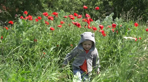 Mouse Costume Boy Stock Videos – Royalty-Free HD & 4K Videos | Pond5