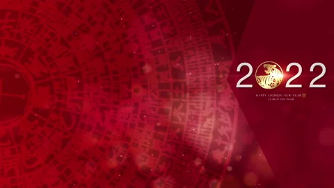 Fat Tiger Stock Videos – Royalty-Free HD & 4K Videos