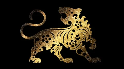 Fat Tiger Stock Videos – Royalty-Free HD & 4K Videos