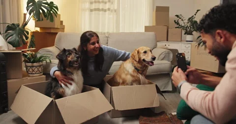 No Dogs Picture Stock Videos – Royalty-Free HD & 4K Videos