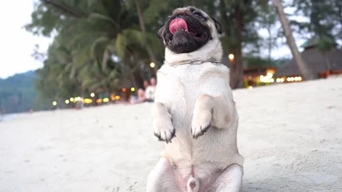 So Fun Orange Stock Videos – Royalty-Free HD & 4K Videos | Pond5