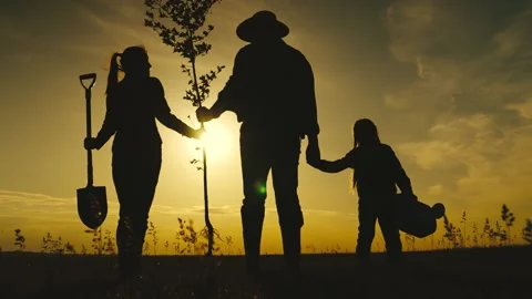 happy family planting tree sunset. fathe... | Stock Video | Pond5