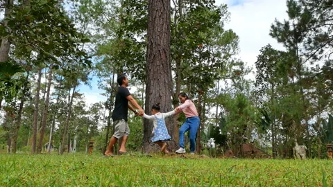 Big Hand Family Stock Videos – Royalty-Free HD & 4K Videos | Pond5