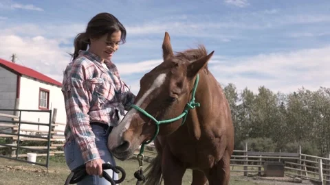 Happy female rancher petting chestnut ho... | Stock Video | Pond5