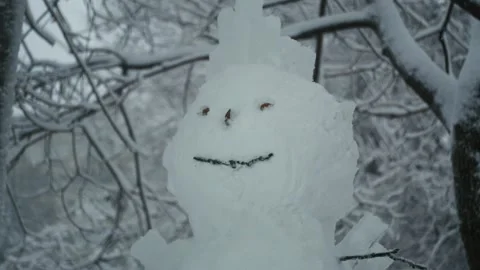 Blizzard Zoom Background Stock Videos – Royalty-Free HD & 4K Videos