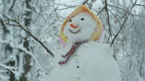 Blizzard Zoom Background Stock Videos – Royalty-Free HD & 4K Videos