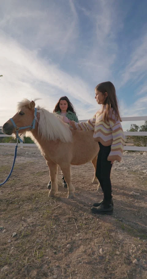 Animals Girls Stock Footage ~ Royalty Free Stock Videos | Pond5