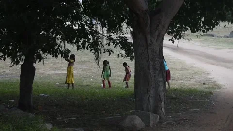 happy kids playing with tree branches in... | Stock Video | Pond5