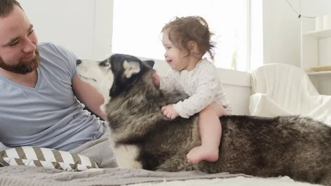 Happy little girl riding her dog indoor ... | Stock Video | Pond5
