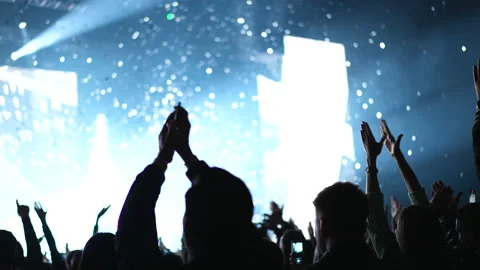 Happy Audience At A Concert