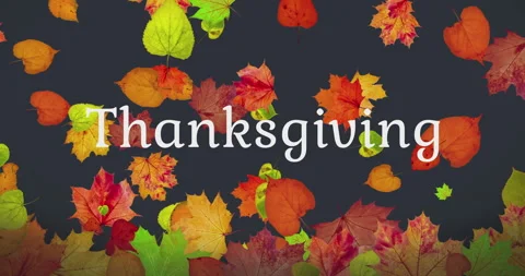 Happy Thanksgiving. Animated Card with f... | Stock Video | Pond5