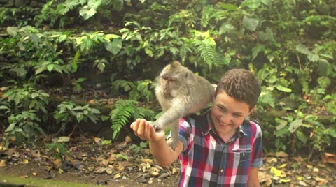 Happy young teenager feeding monkey in U... | Stock Video | Pond5