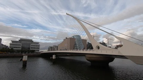 Irish Harp Stock Footage ~ Royalty Free Stock Videos | Pond5