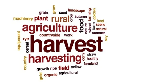 Harvest animated word cloud, text design... | Stock Video | Pond5