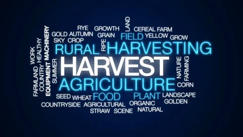 Harvest animated word cloud, text design... | Stock Video | Pond5