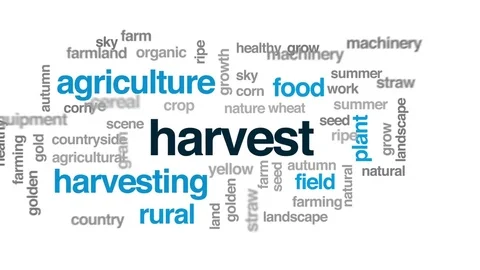 Harvest animated word cloud, text design... | Stock Video | Pond5