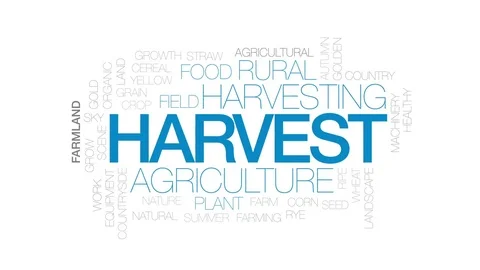 Harvest animated word cloud, text design... | Stock Video | Pond5