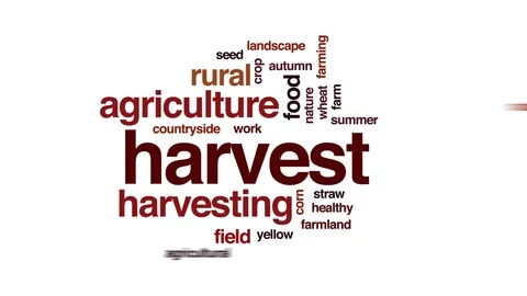 Harvest animated word cloud, text design... | Stock Video | Pond5