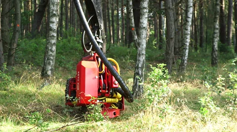 Tree Harvester Stock Video Footage | Royalty Free Tree Harvester Videos ...