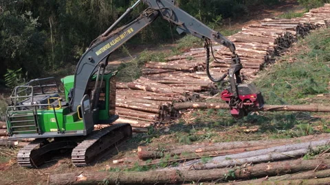 Harvester machine grabbing tree trunks, ... | Stock Video | Pond5