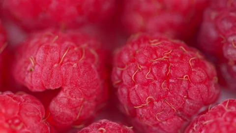 Harvesting. Fresh raspberries as a food ... | Stock Video | Pond5