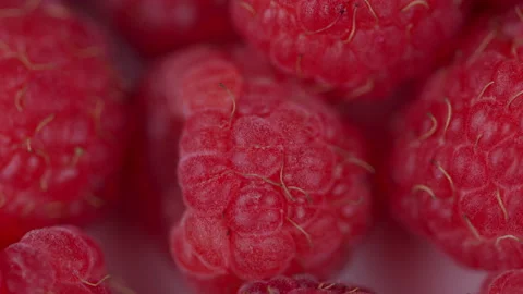 Harvesting. Fresh raspberries as a food ... | Stock Video | Pond5