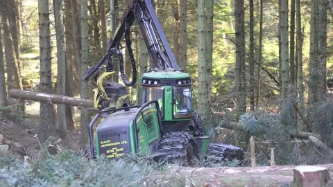 Harvesting timber for biofuel using a fo... | Stock Video | Pond5