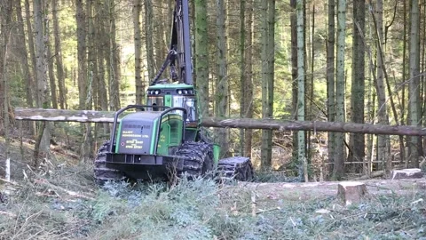 Harvesting timber for biofuel using a fo... | Stock Video | Pond5