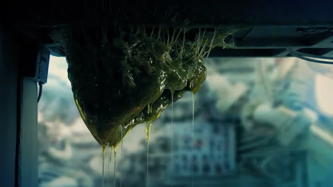 Xenomorph Stock Footage ~ Royalty Free Stock Videos | Pond5