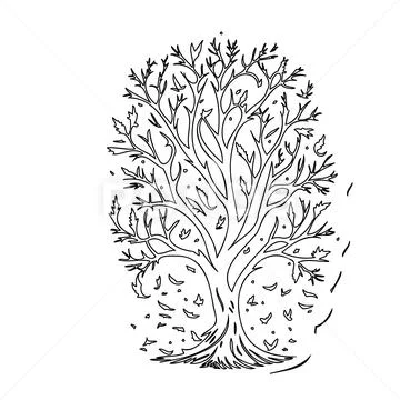 Haunted Tree illustration outline sketch Illustration #284897976