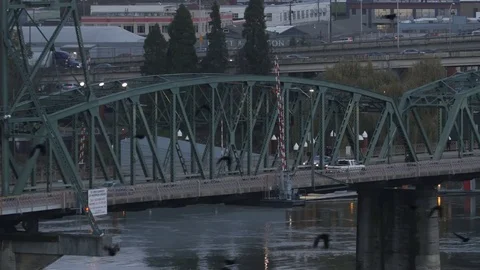 Hawthorne Road Stock Videos – Royalty-Free HD & 4K Videos | Pond5