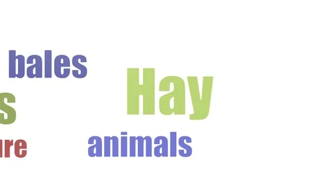 Hay Word Cloud Animated On White Backgro... | Stock Video | Pond5