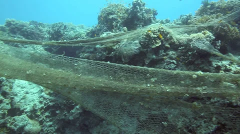 Underwater Fishing Net Stock Video Footage | Royalty Free Underwater ...