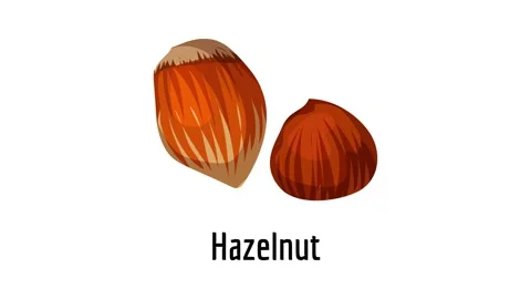 Hazel Animation Stock Footage ~ Royalty Free Stock Videos | Pond5