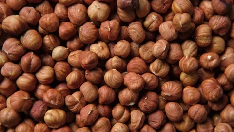 Hazelnuts harvest. Filbert video wallpap... | Stock Video | Pond5