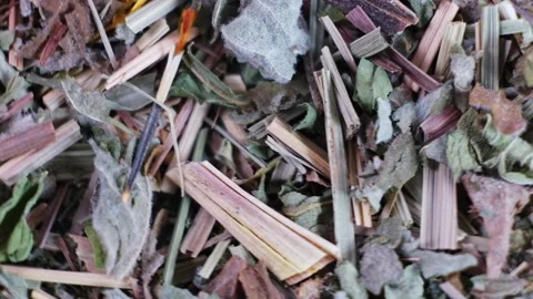 Full Er Stock Videos – Royalty-Free HD & 4K Videos